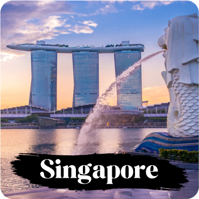 international – Holiday Destiny