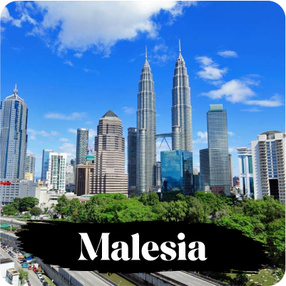 international – Holiday Destiny