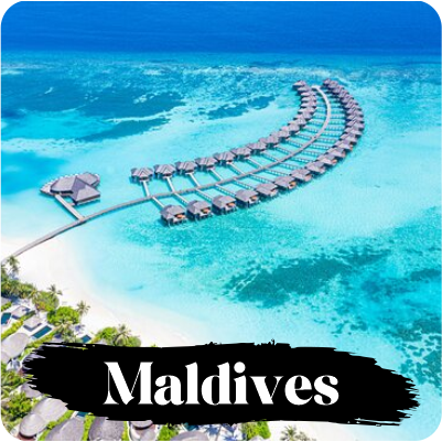 international – Holiday Destiny