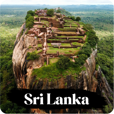 international – Holiday Destiny